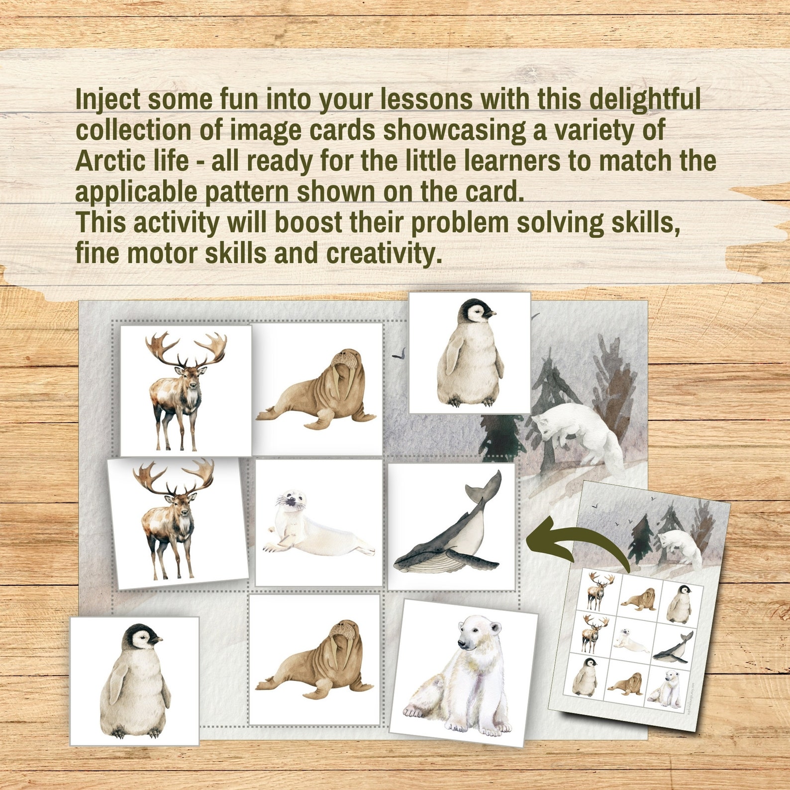 Arctic Life Pattern Activity Sorting Picture Card Montessori Resource ...