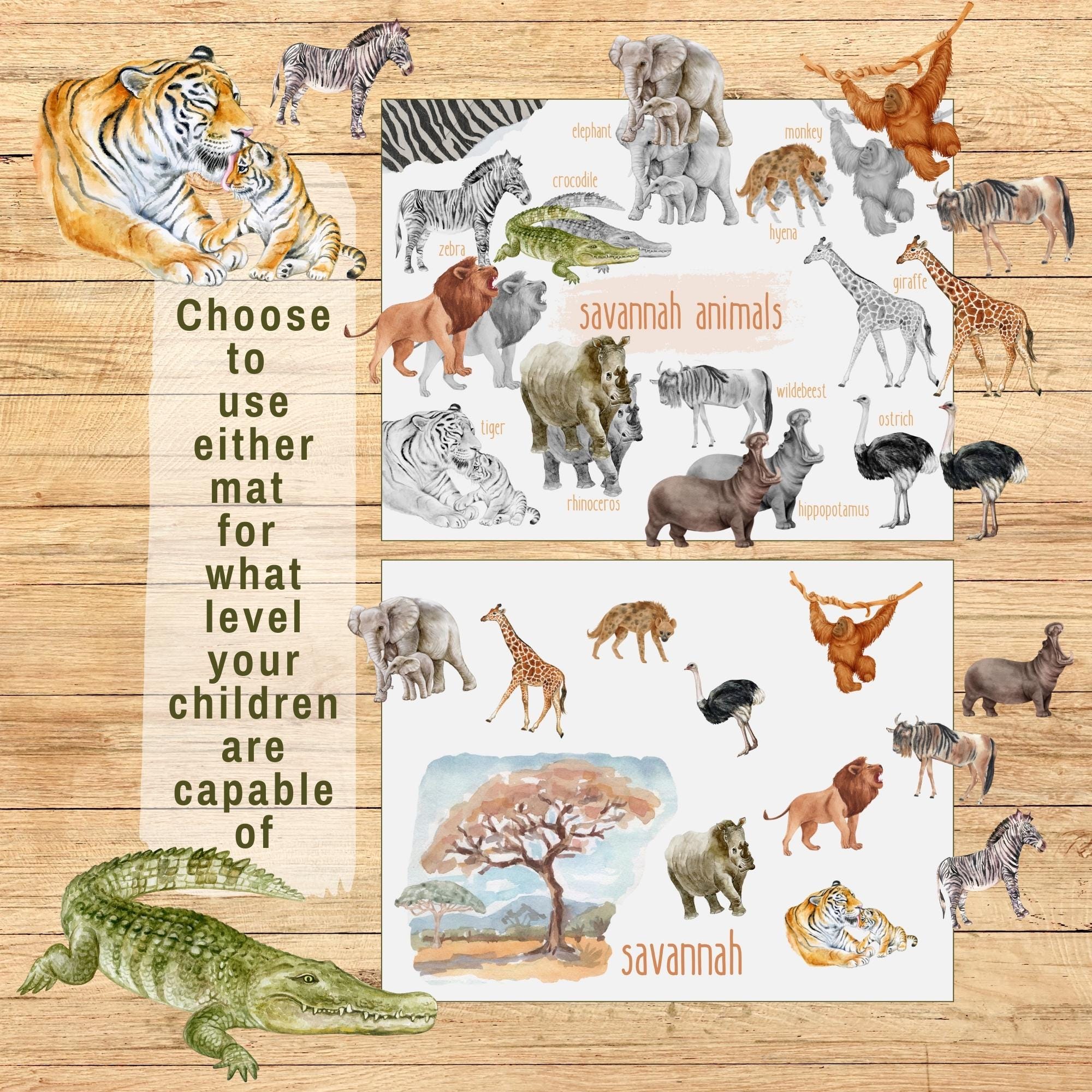 Identify Animal Groups Sorting and Shadow Matching Activity Printable ...