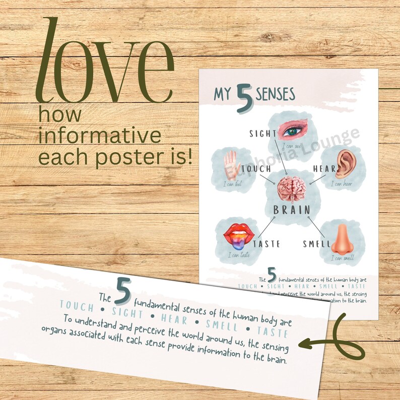 Five Senses Posters Educational Wall Art Printable Hear/touch/sight ...