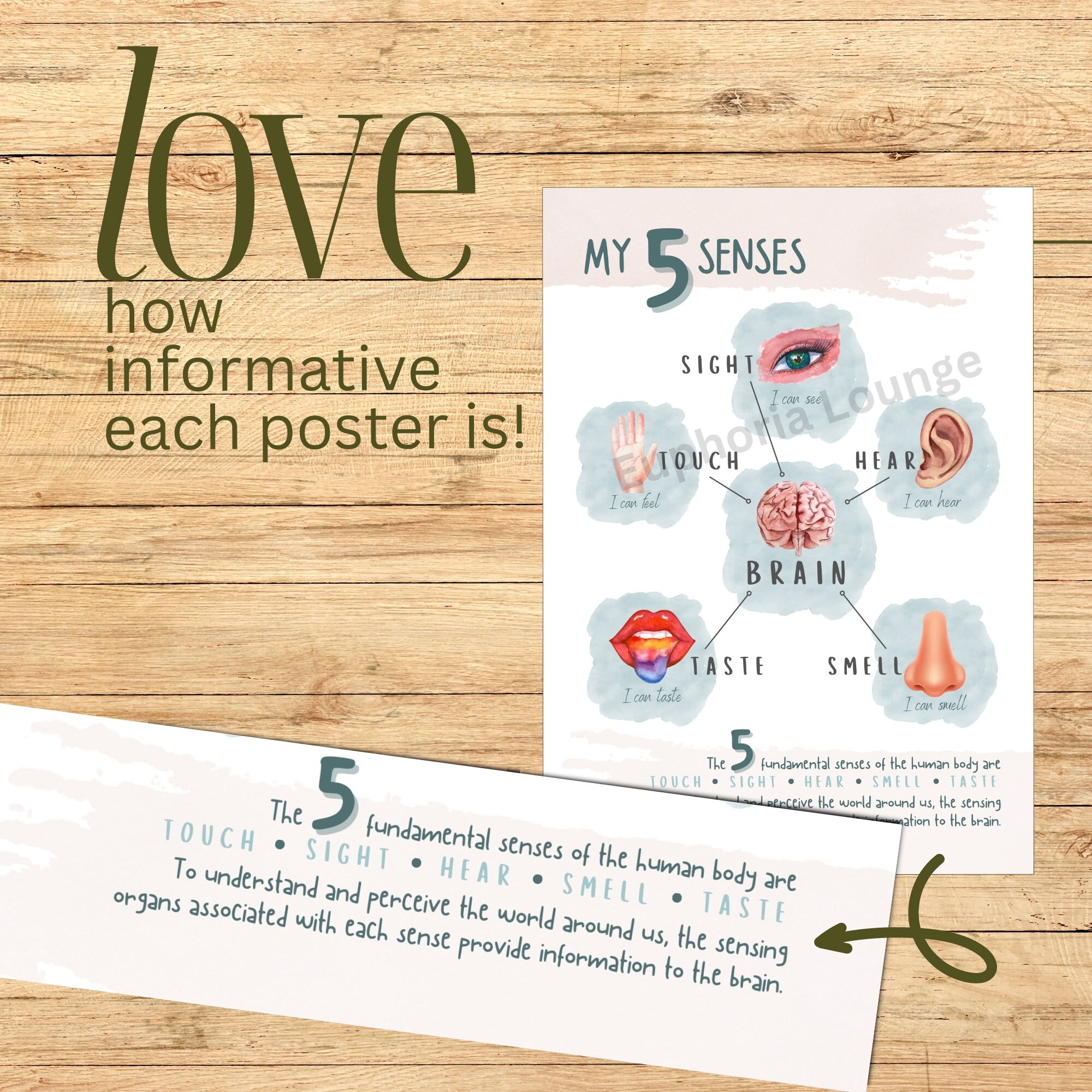 Five Senses Posters Educational Wall Art Printable Hear/touch/sight ...