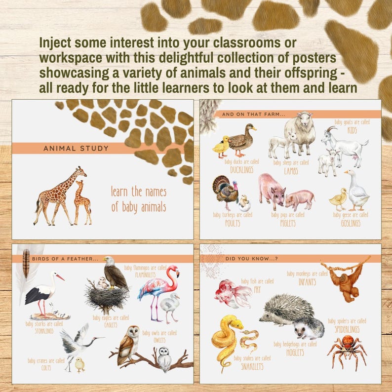 Animal Young Vocabulary Posters Printable Baby Animals Names ...
