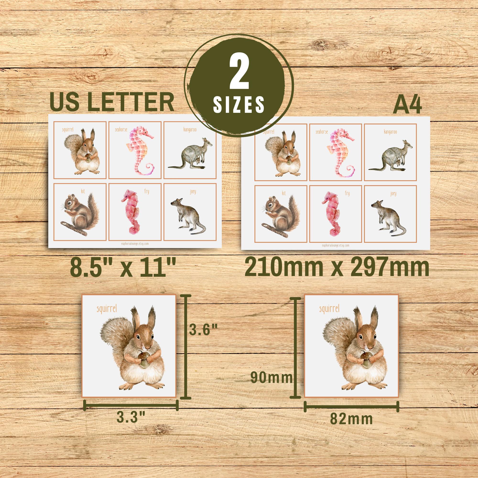 Mommy & Baby Animal Matching Activity, Parent Animal and Offspring ...