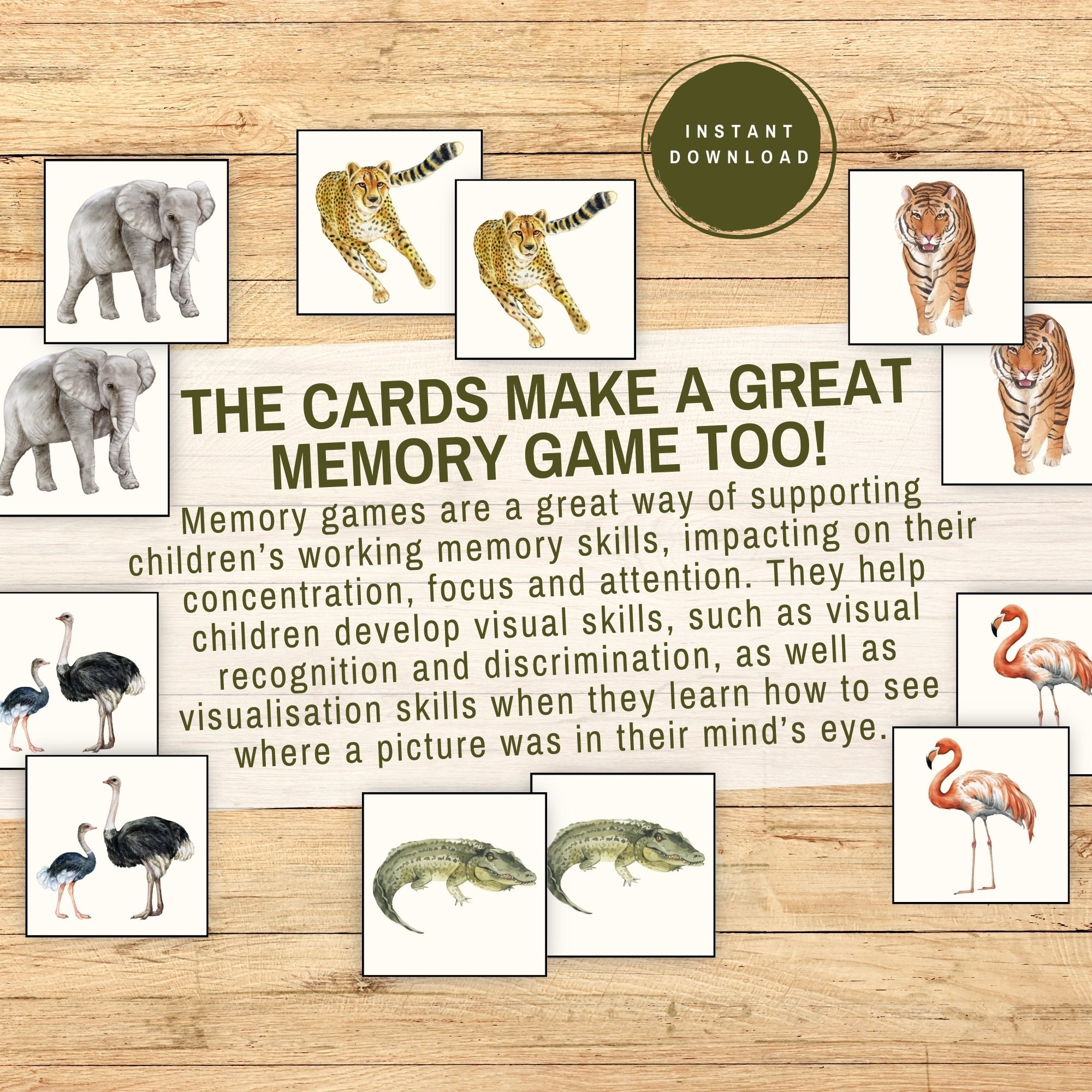 Safari Life Pattern Activity Sorting Picture Card Montessori Resource ...