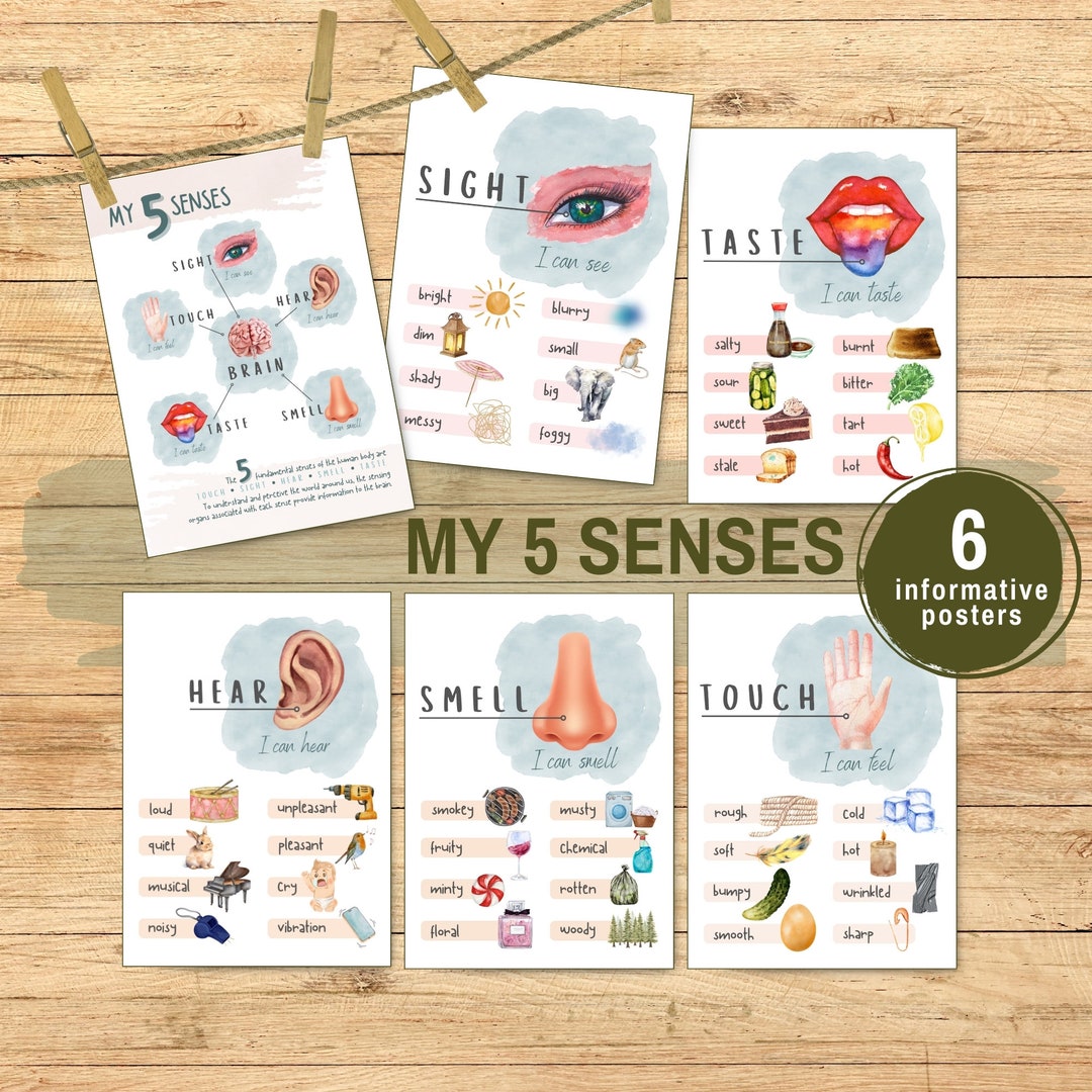 Five Senses Posters Educational Wall Art Printable Hear/touch/sight ...