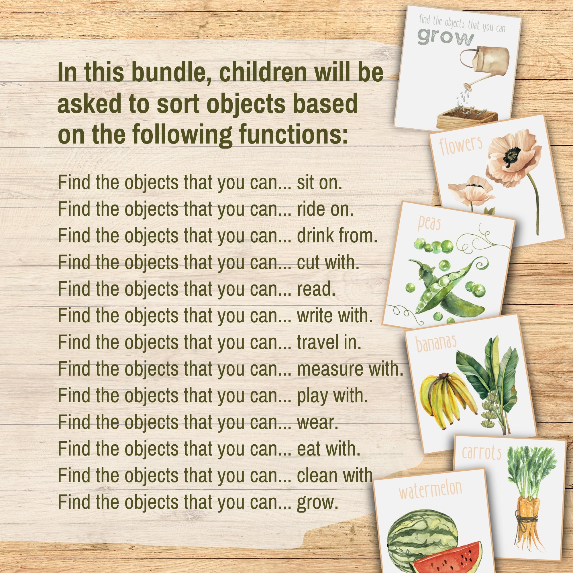 Object Function Picture Sorting Mats & Cards Speech Therapy Autism ...