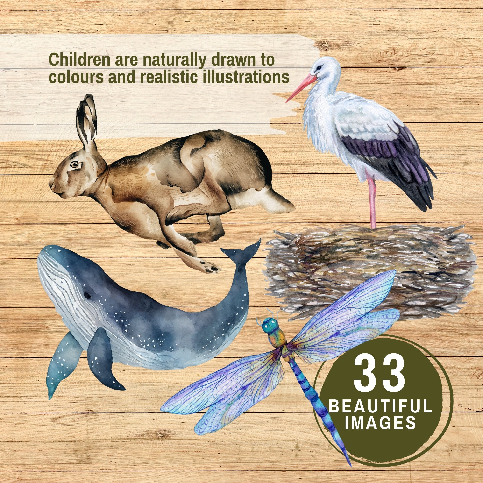 Air Land Water Activity Animal Sorting Game Printable Preschool ...