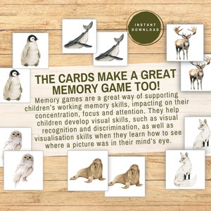 Arctic Life Pattern Activity Sorting Picture Cards, Copy the Sequence ...