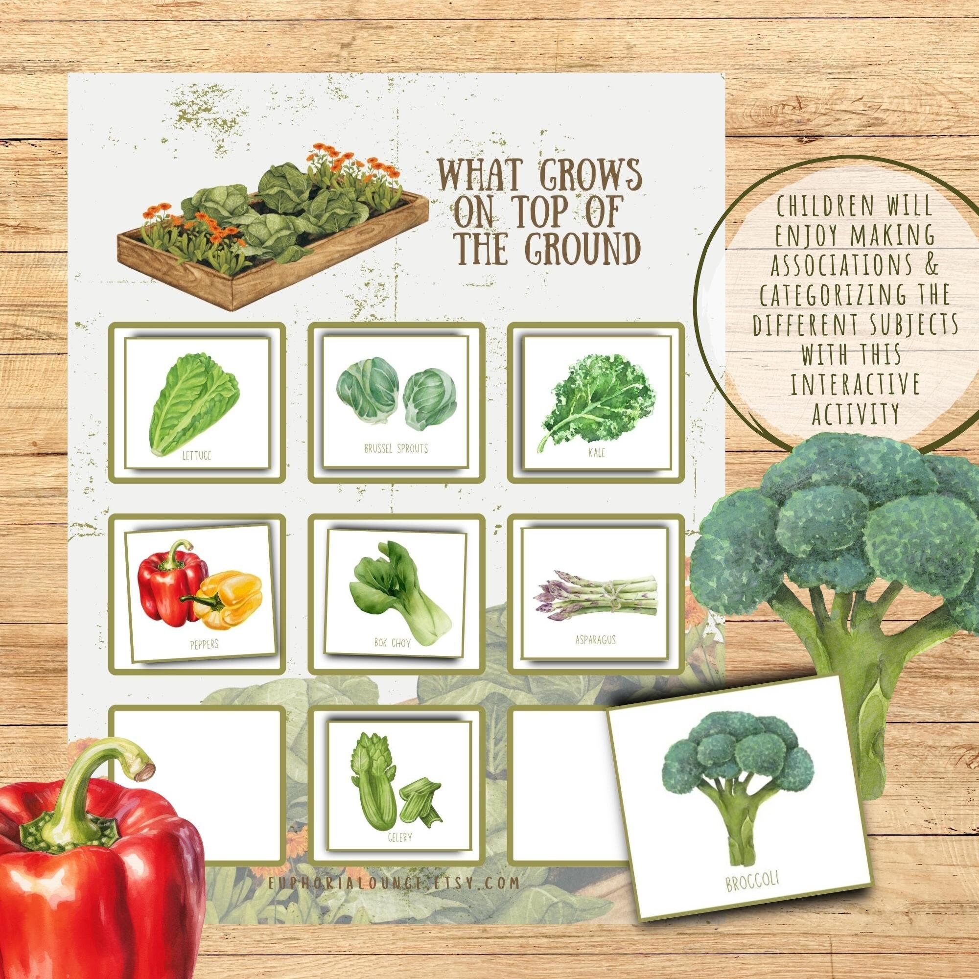 Where Do They Grow Sorting Mats is It a Fruit or Vegetable Sorting ...