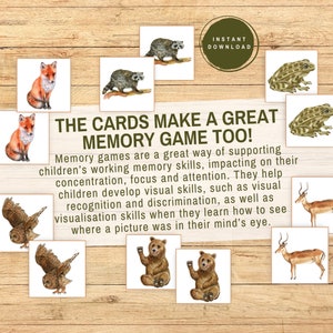 Woodlands Pattern Activity Sorting Picture Card Montessori Resource ...
