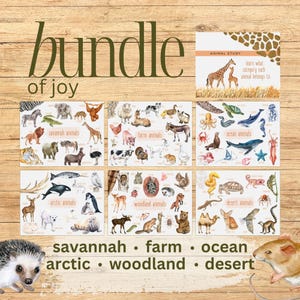 Animal Classification Posters Printable Kids Educational Classroom Wall ...