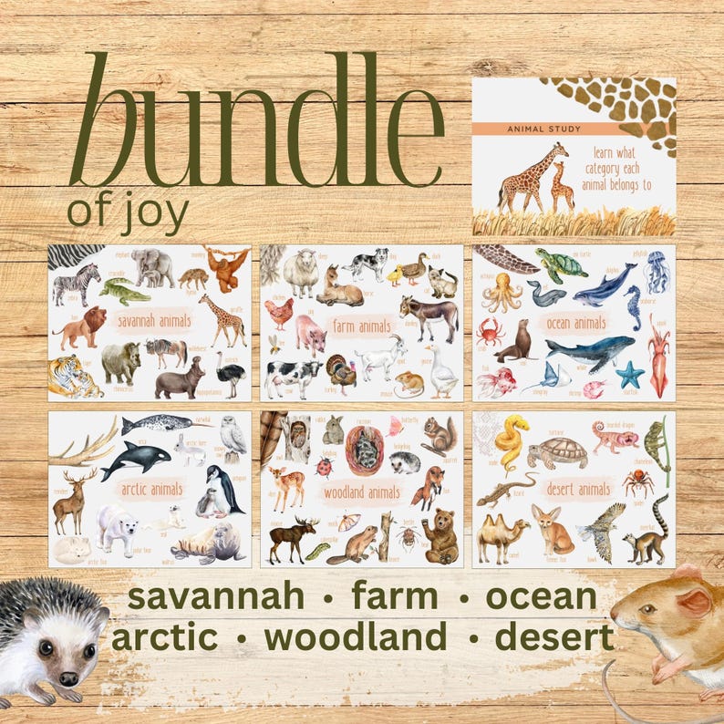 Animal Classification Posters Printable Kids Educational Classroom Wall ...