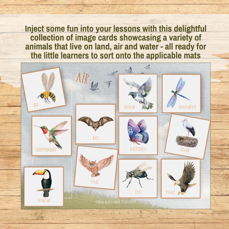 Air Land Water Activity Animal Sorting Game, Categorize Where Animals ...