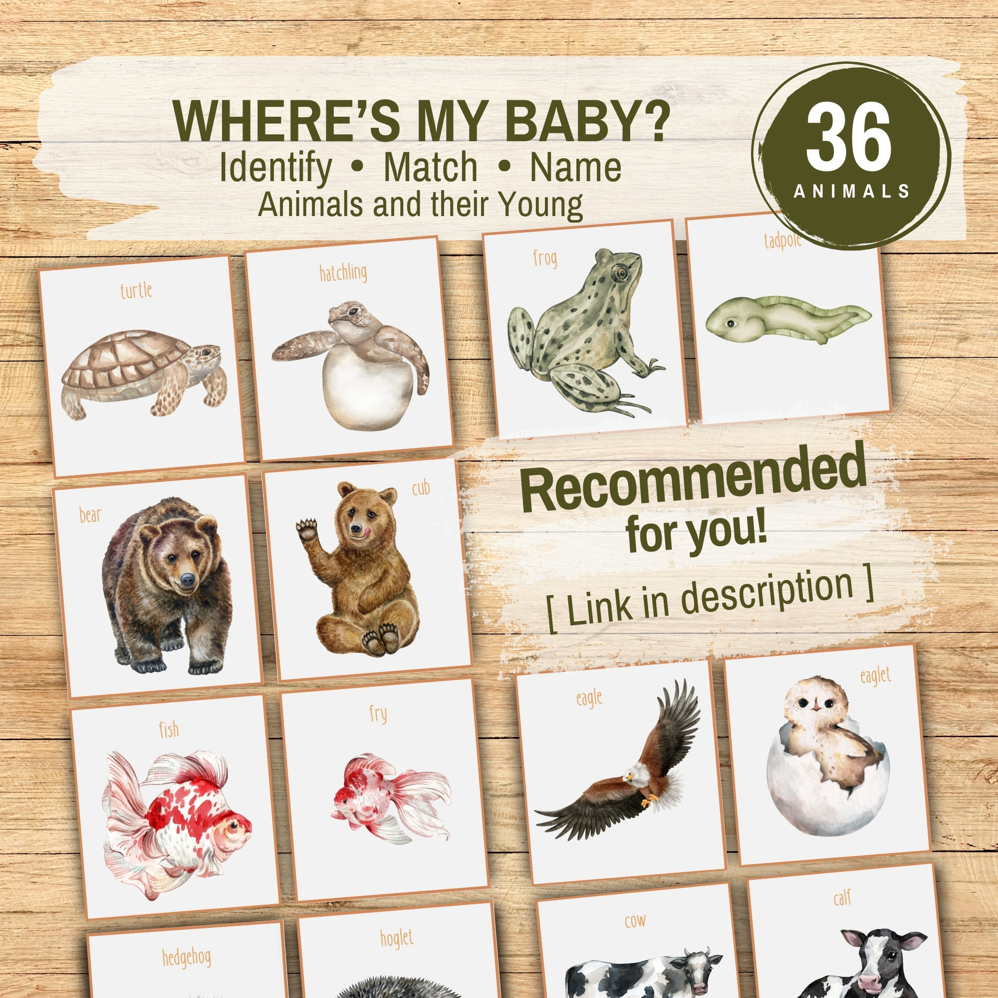 Alphabet Sorting Picture Card Boards Printable Montessori Letters ...