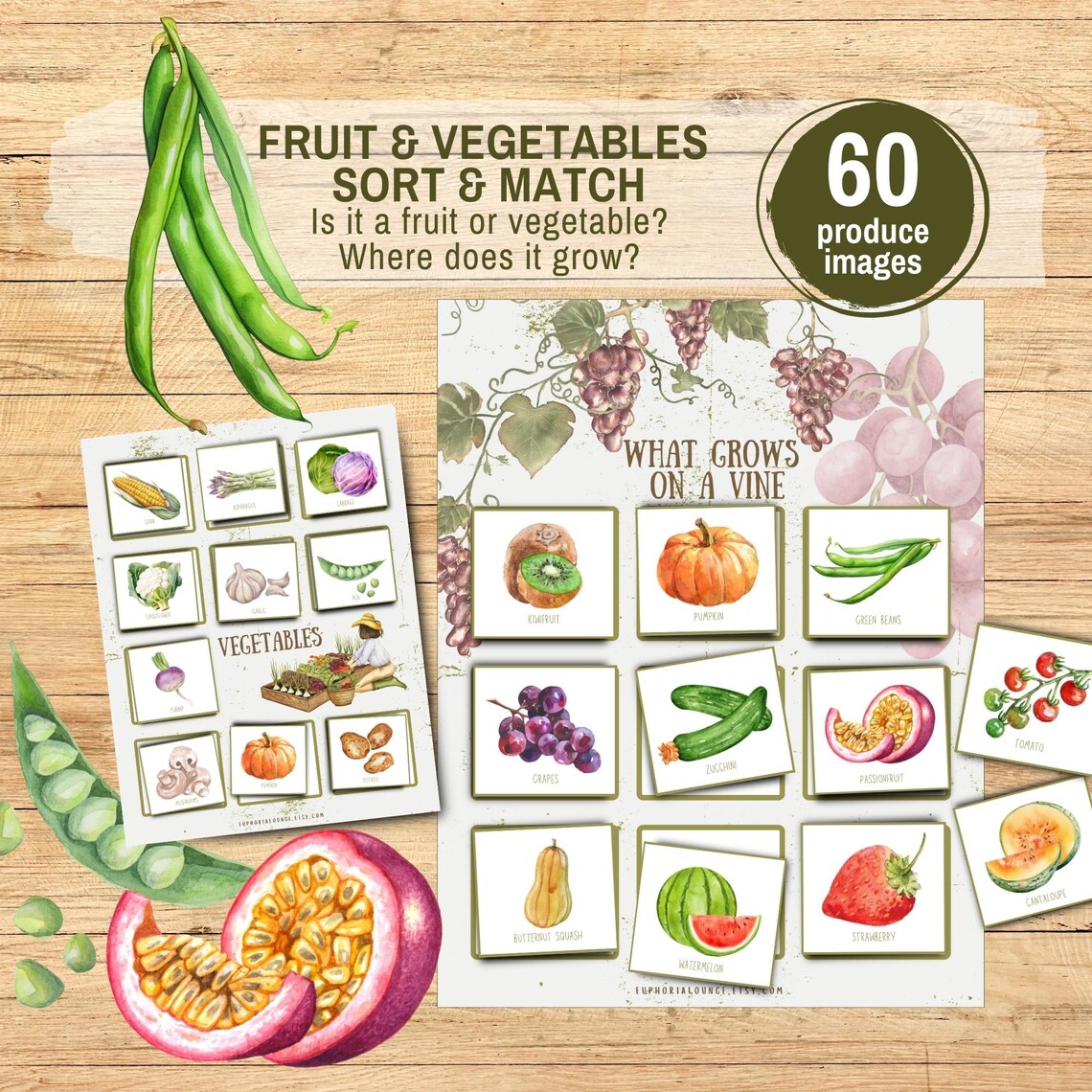 Where Do They Grow Sorting Mats is It a Fruit or Vegetable Sorting ...