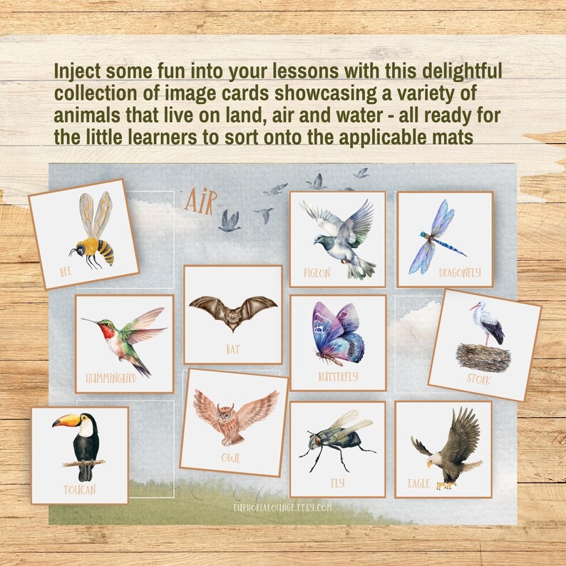Air Land Water Activity Animal Sorting Game Printable Preschool ...