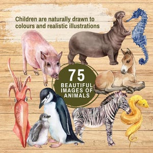 Animal Classification Posters Printable Kids Educational Classroom Wall ...