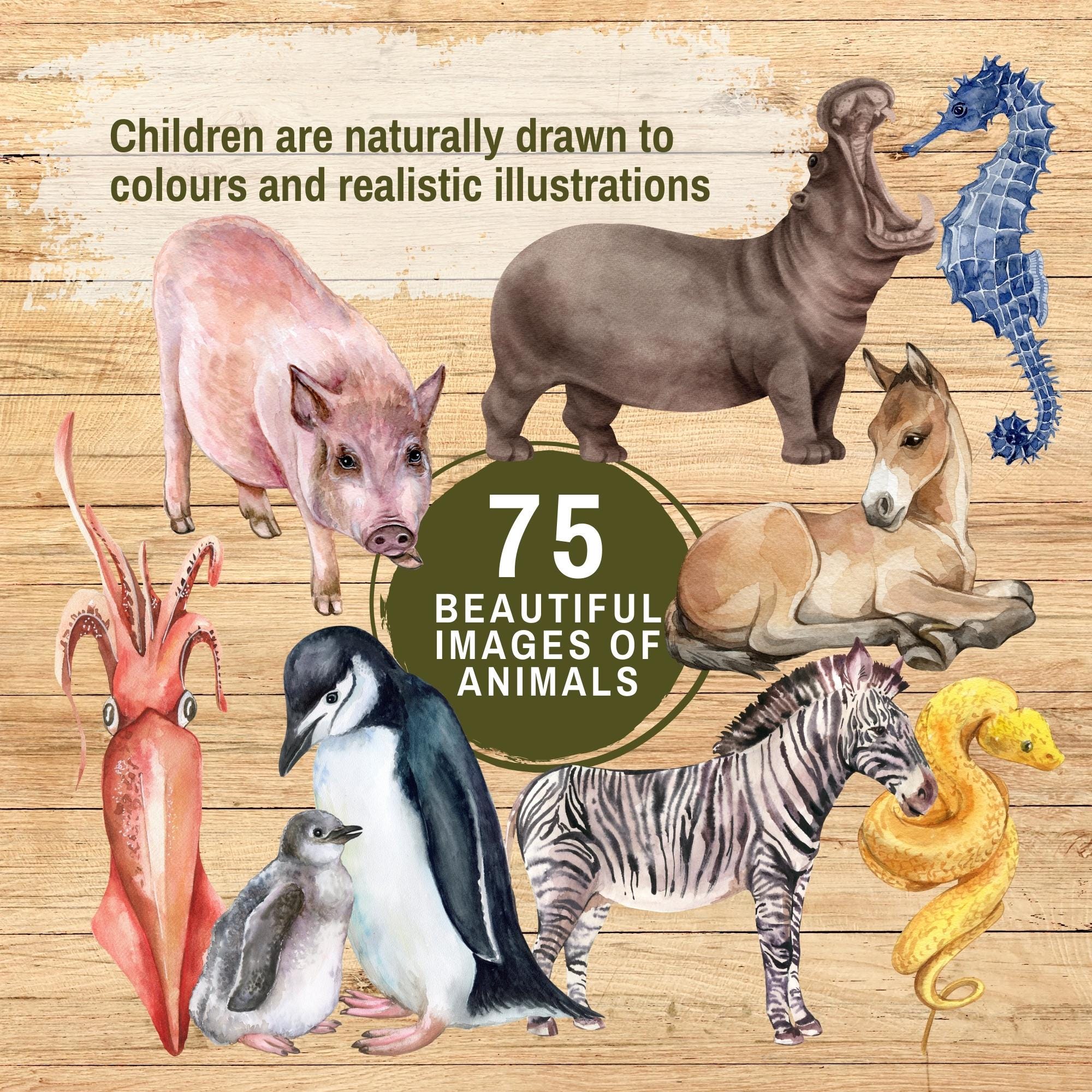 Animal Classification Posters Printable Kids Educational Classroom Wall ...