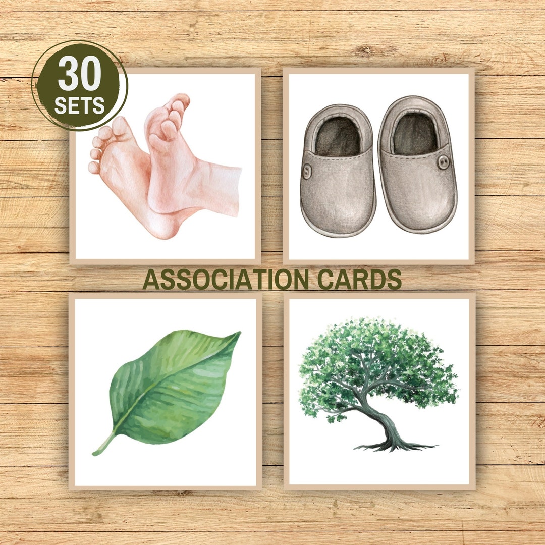 Preschool Matching Sorting Activity Printable Flashcards What Goes ...