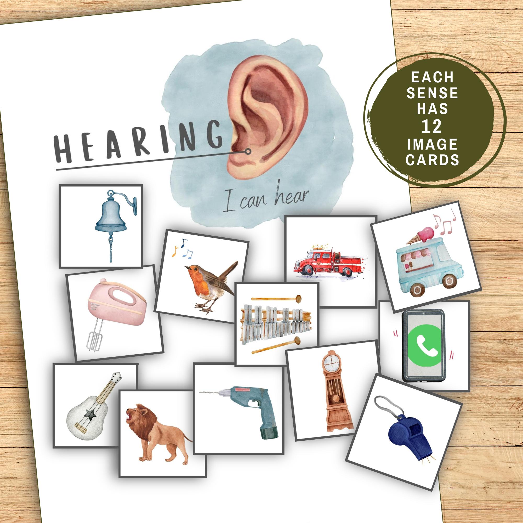 Five Senses Sorting Activity Printable, Hear/touch/sight/smell/taste ...