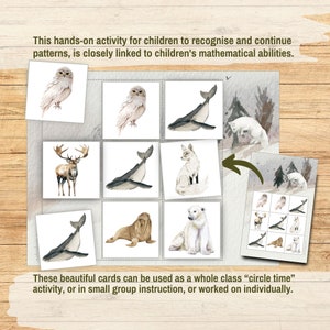 Arctic Life Pattern Activity Sorting Picture Card Montessori Resource ...