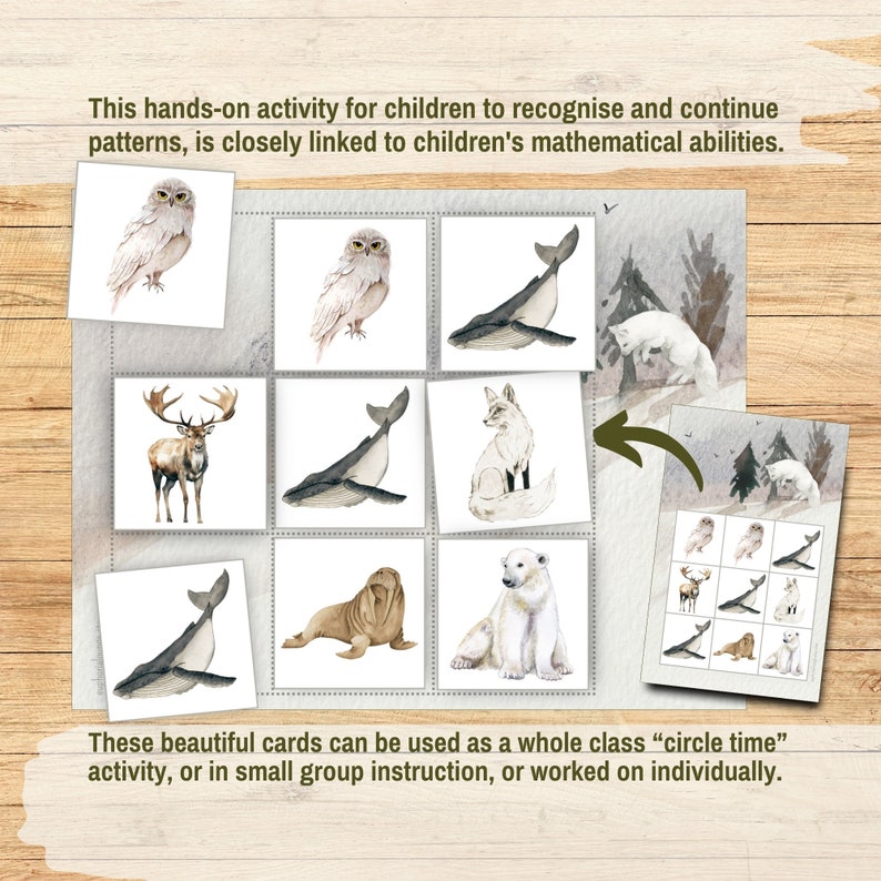 Arctic Life Pattern Activity Sorting Picture Card Montessori Resource ...