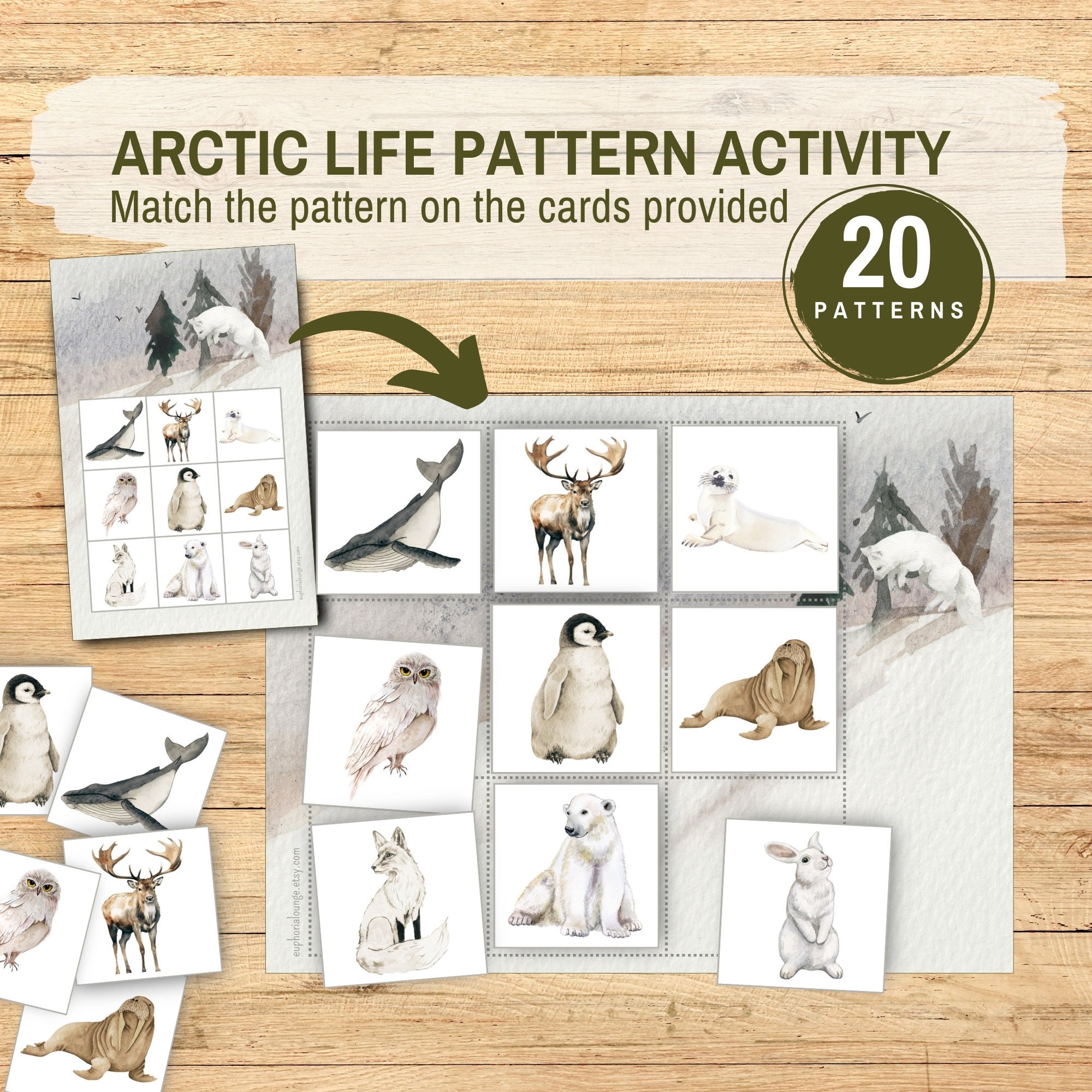 Arctic Life Pattern Activity Sorting Picture Card Montessori Resource ...