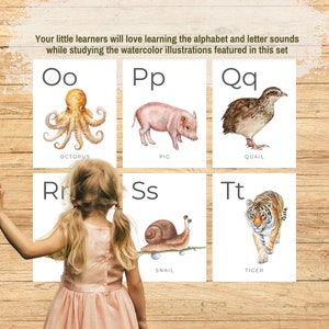Alphabet Posters Large Format for Classroom Use, Watercolor Animal ...
