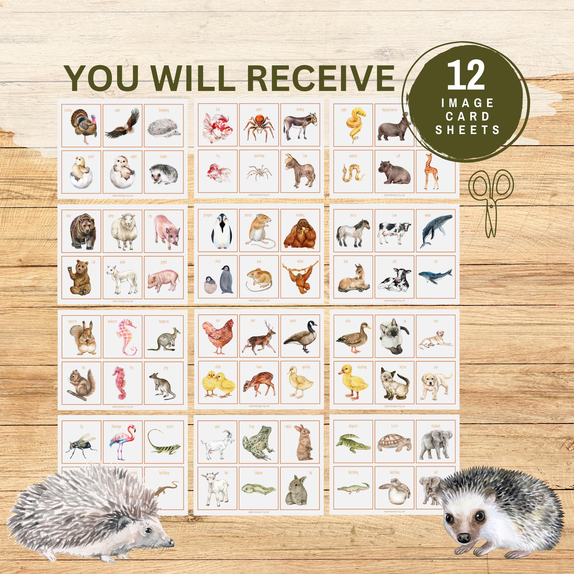 Mommy & Baby Animal Matching Activity, Parent Animal and Offspring ...