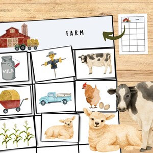 Where Does It Belong Printable Sorting Activity Cards Making ...