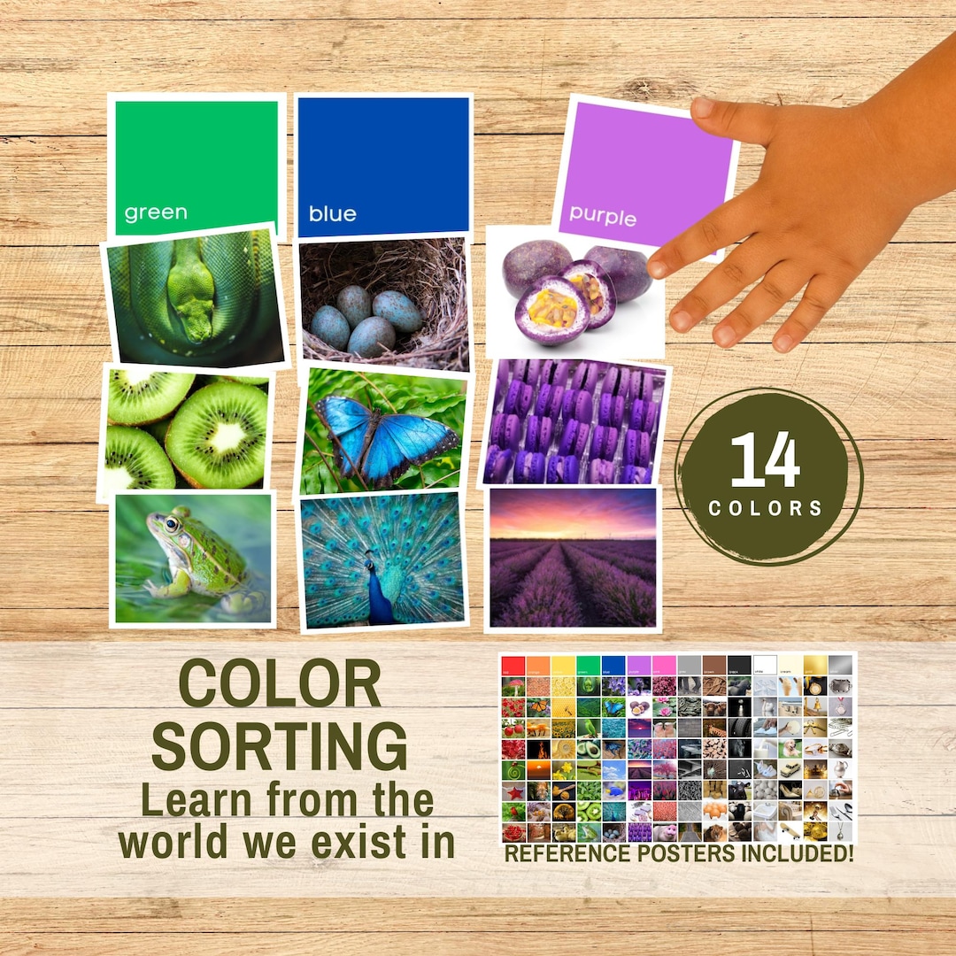 Montessori Color Sorting Matching Game, 14-color Recognition Printable ...