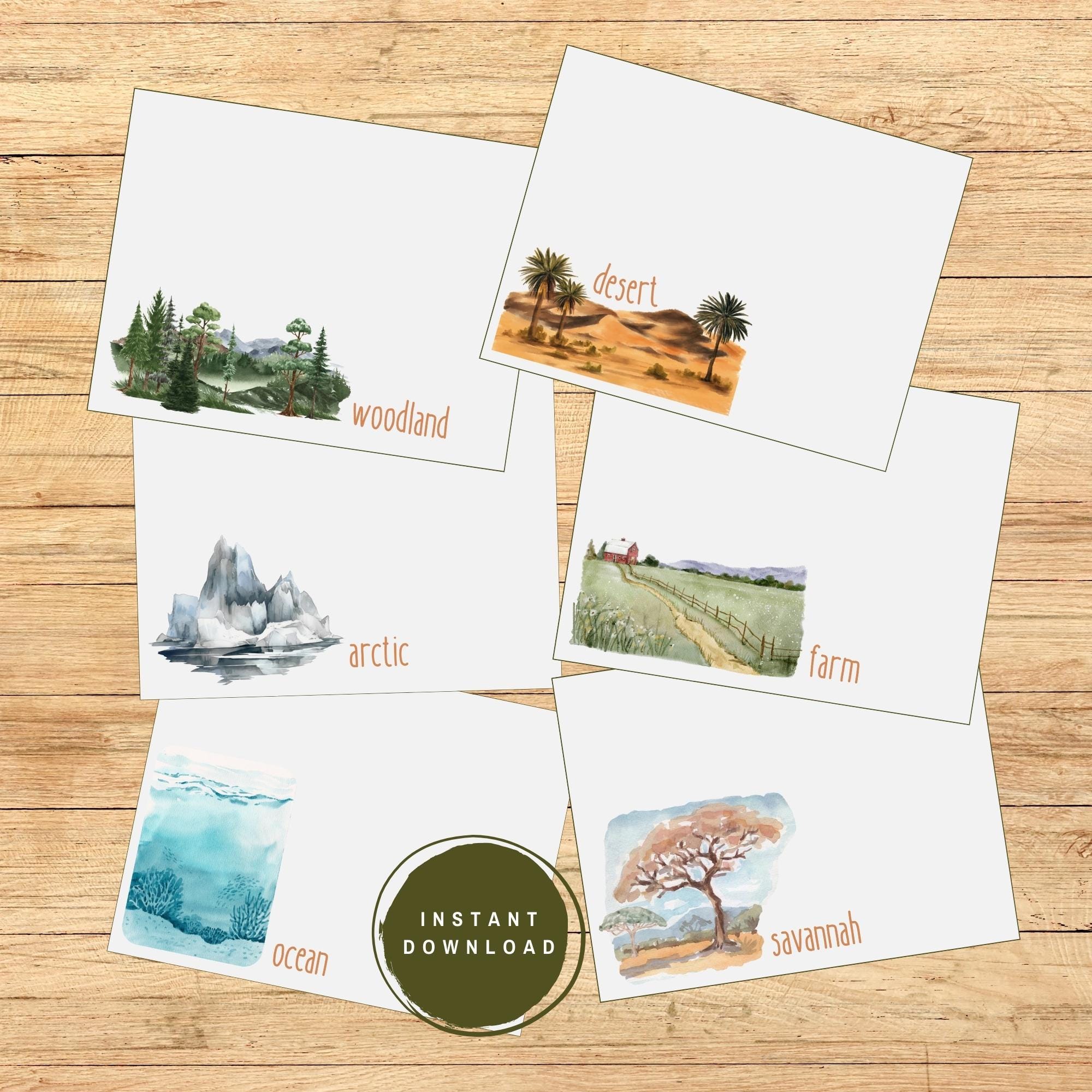 Identify Animal Groups Sorting and Shadow Matching Activity Printable ...