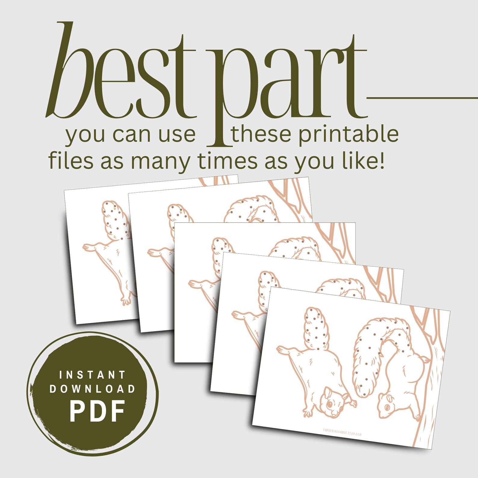 Nature Walk Squirrel Tails DIY Printable Craft Flower Activity, Outdoor ...