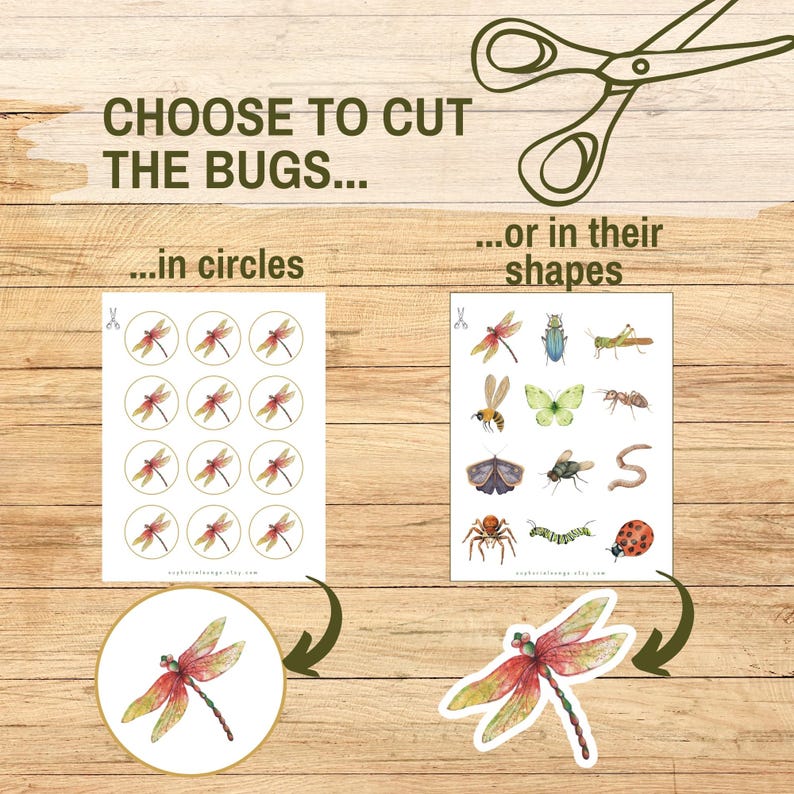 Bugs in a Jar Numbers & Counting Activity 1-5, Insect Play Set, Prek ...