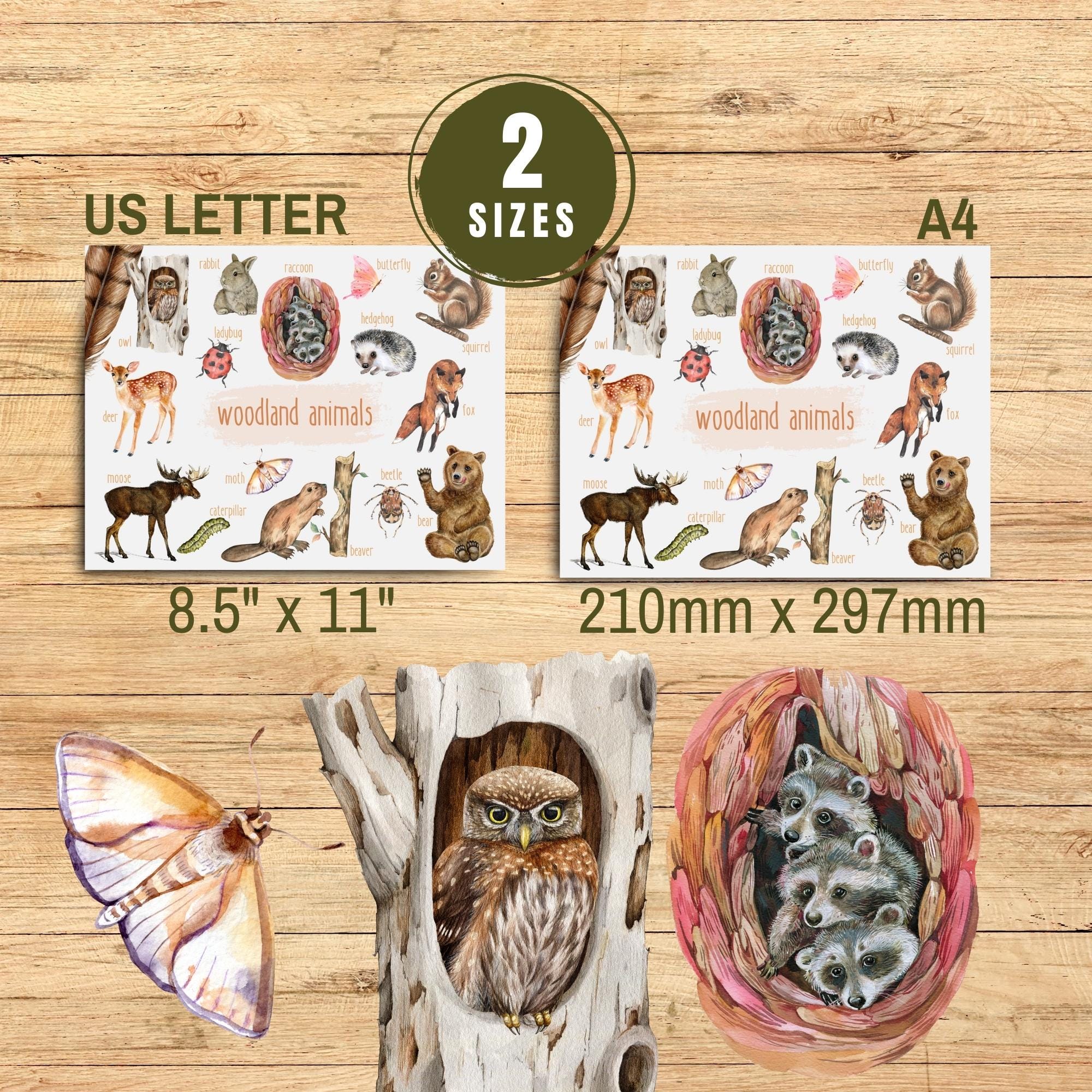 Animal Classification Posters Printable Kids Educational Classroom Wall ...