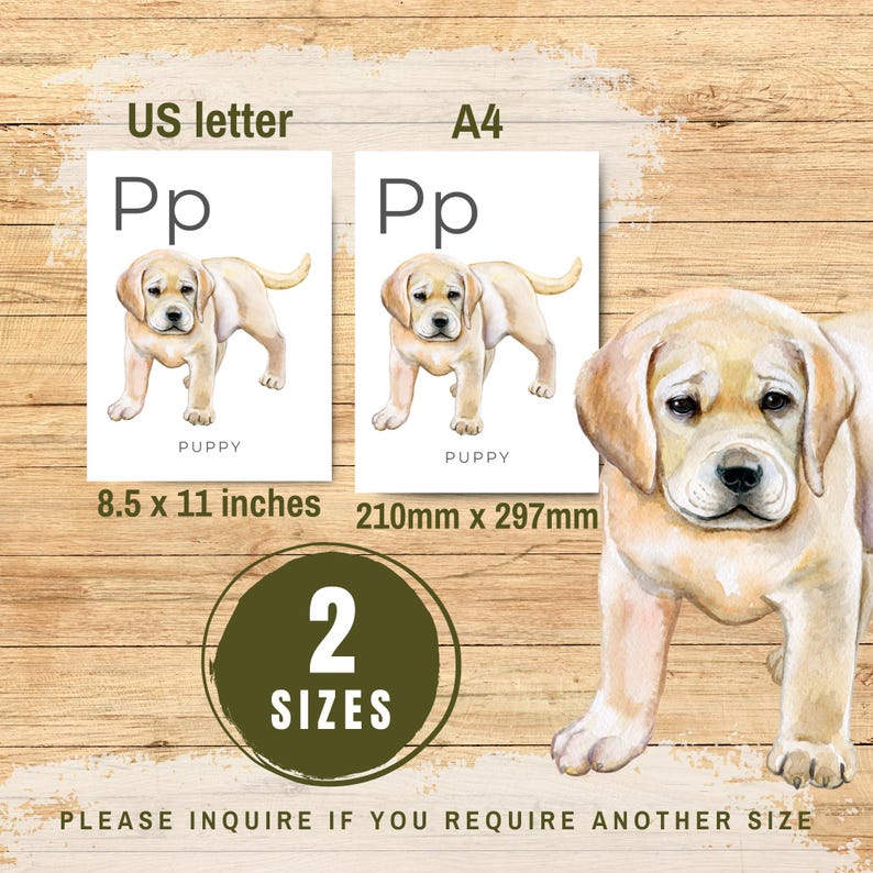 Alphabet Posters Large Format for Classroom Use, Watercolor ABC Prints ...