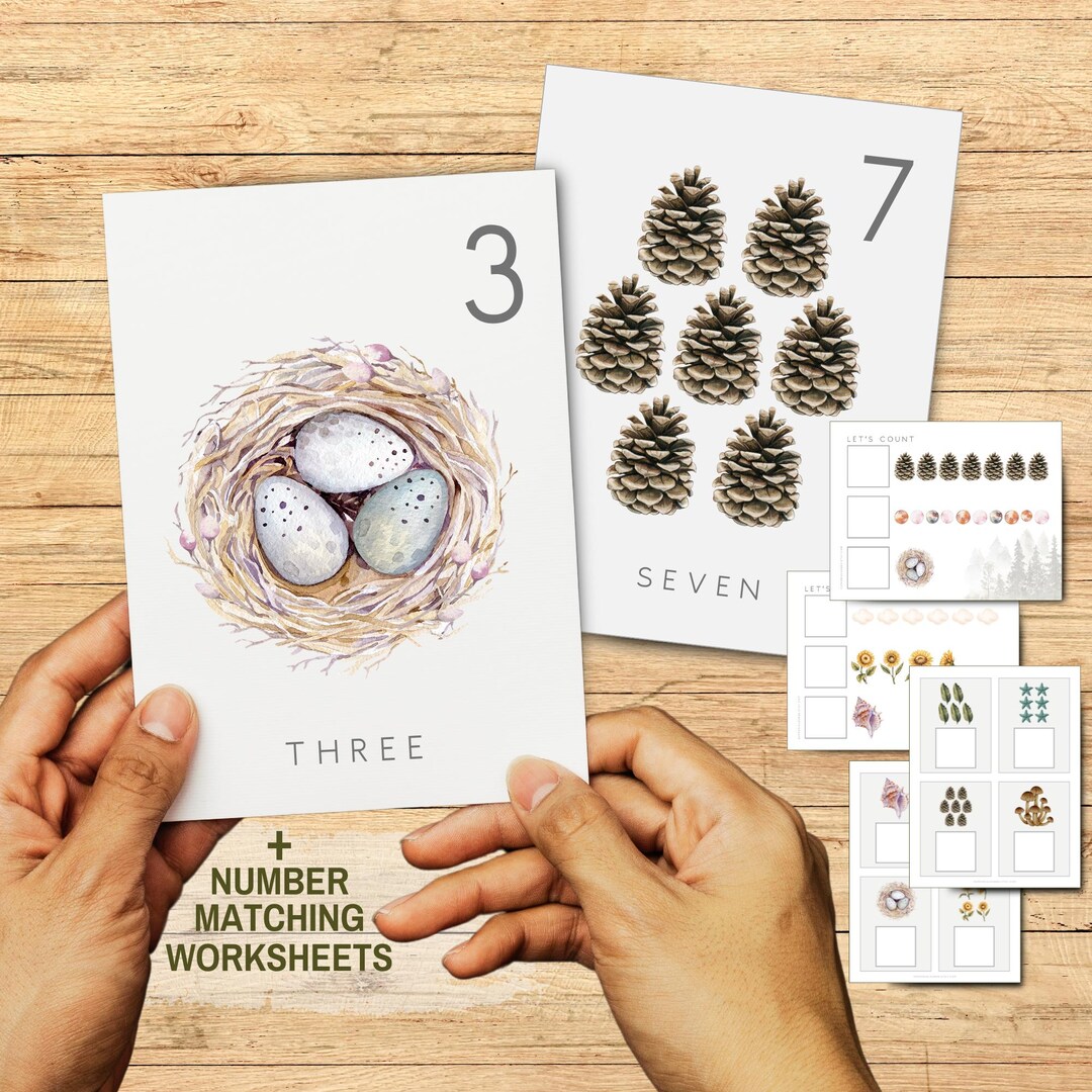 Watercolor Earthy Nature Number Cards 1-10, Prek Counting Flashcards ...