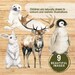 Arctic Life Pattern Activity Sorting Picture Cards, Copy the Sequence ...