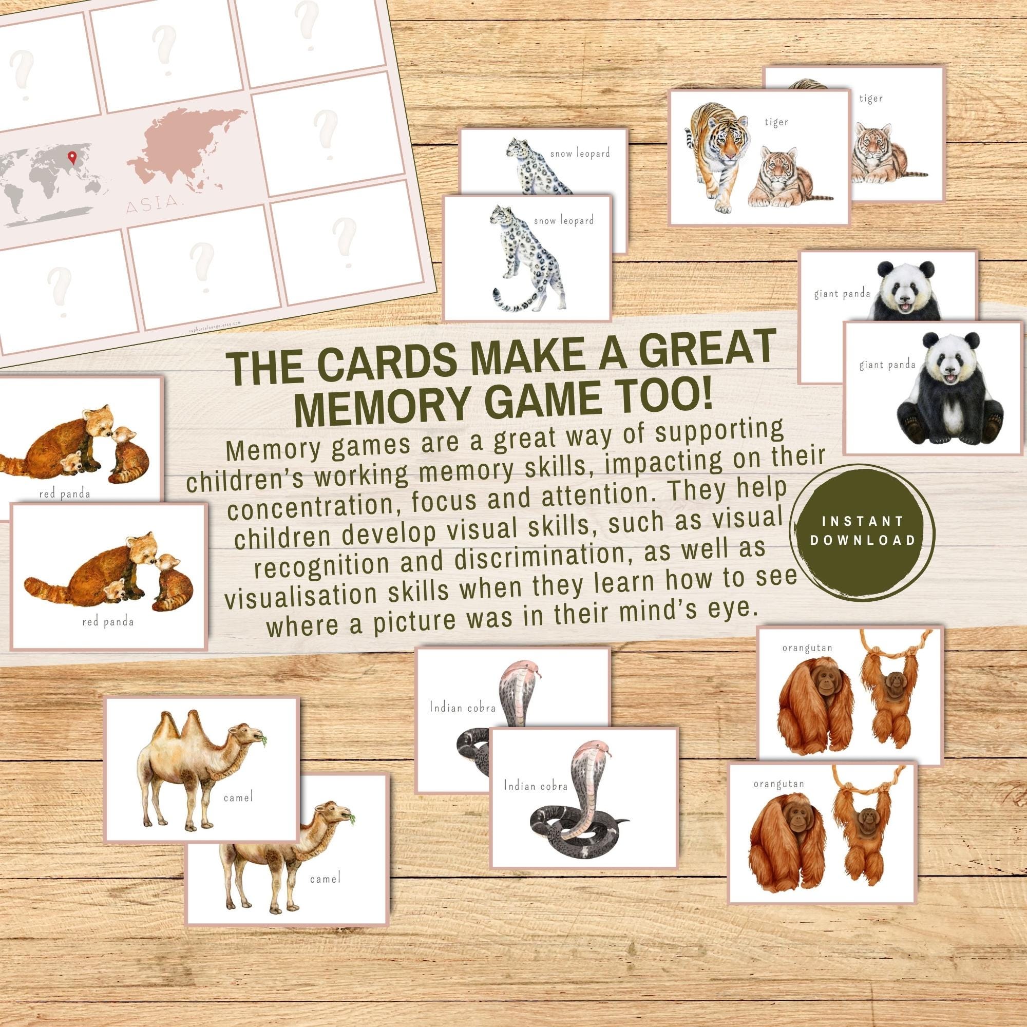 Animals of the Continents Activity Printable Animal Vocabulary Sorting ...