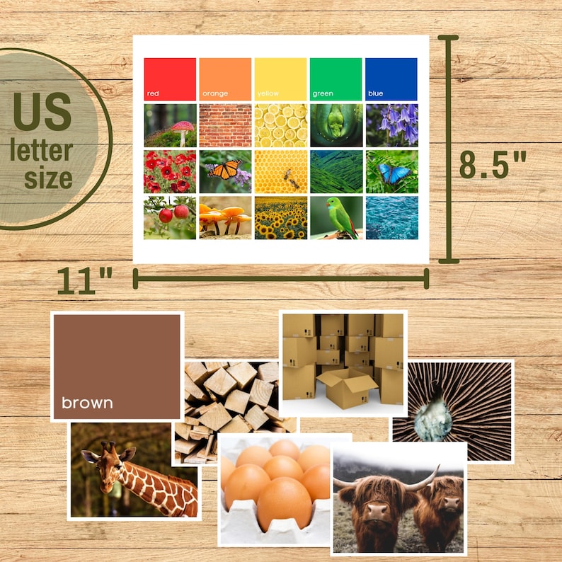 Color Sorting Printable Cards the World We Live In, the BIG Colours in ...