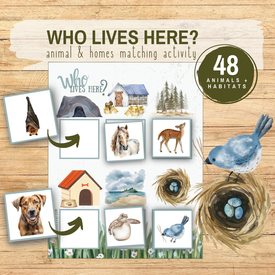 Who Lives Here Animals & Homes Printable Sorting Matching Activity ...