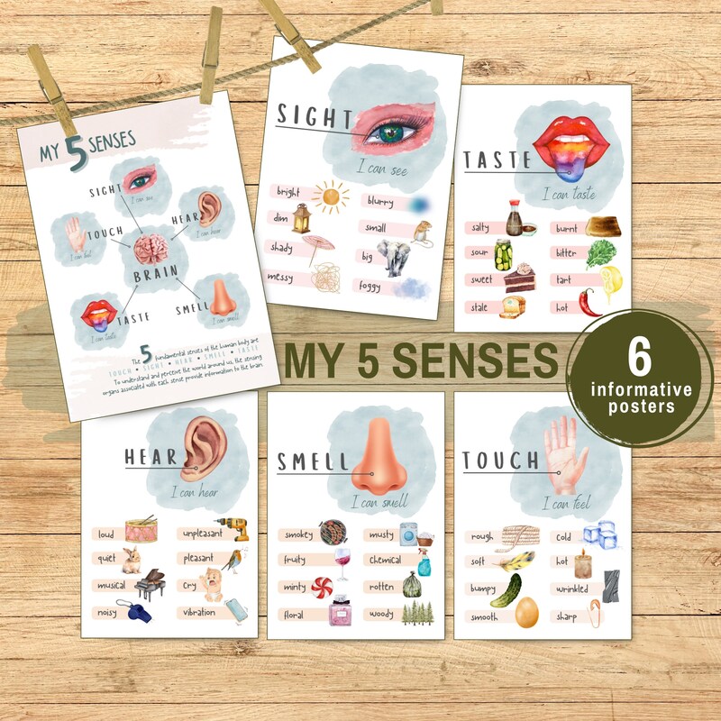 Five Senses Preschool - Etsy