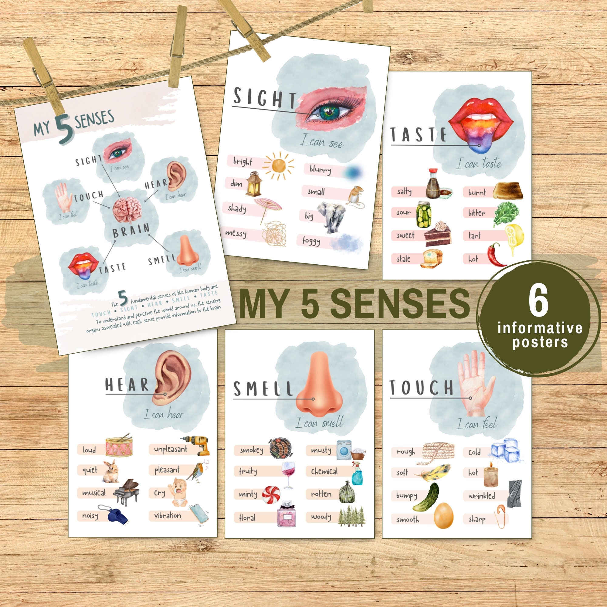Five Senses Posters Educational Wall Art Printable Hear/touch/sight ...
