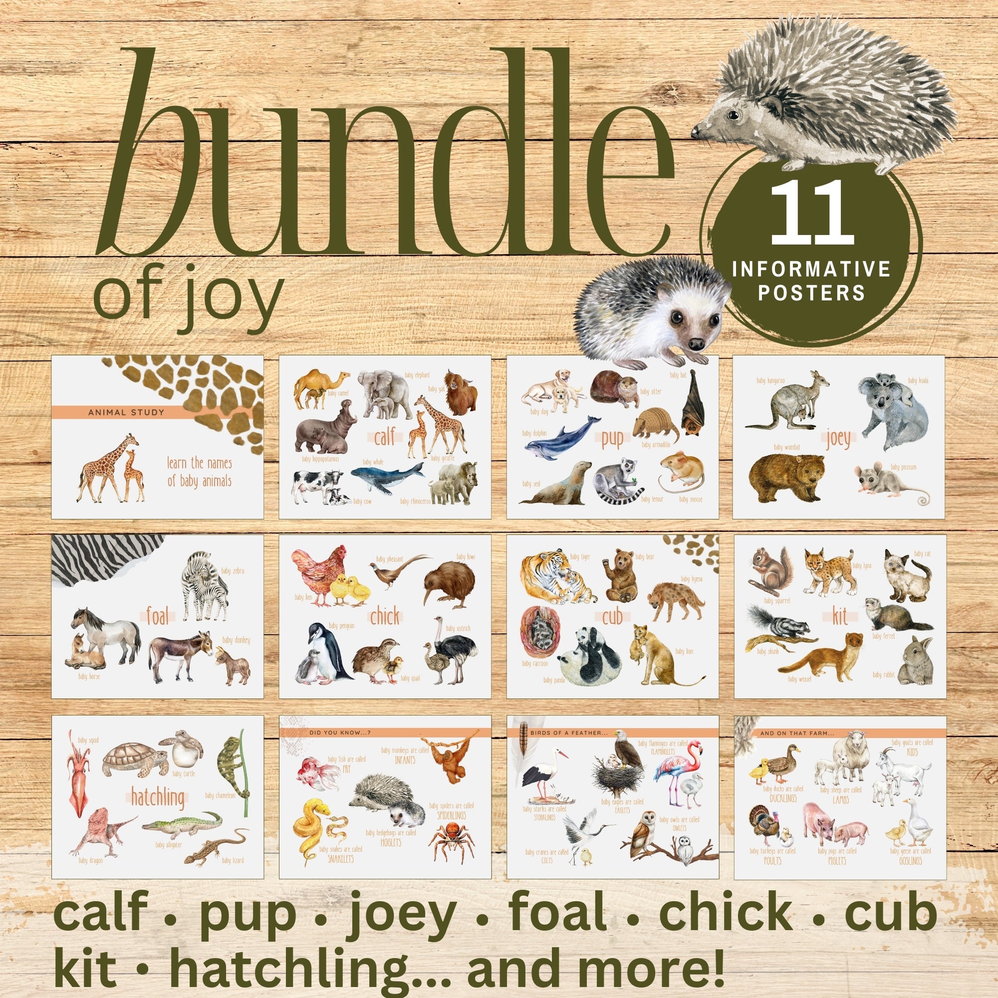 Animal Young Vocabulary Posters, Baby Animal Offspring Names ...