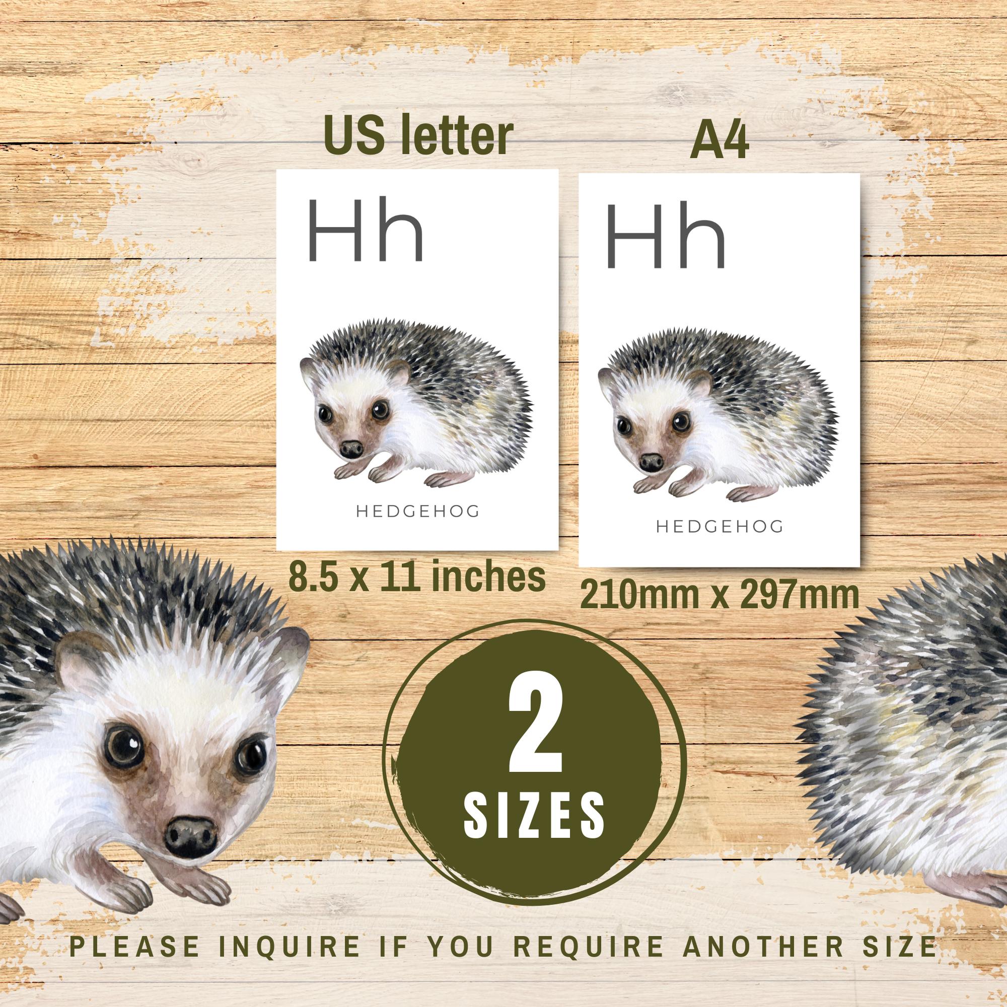 Alphabet Posters Large Format for Classroom Use, Watercolor Animal ...