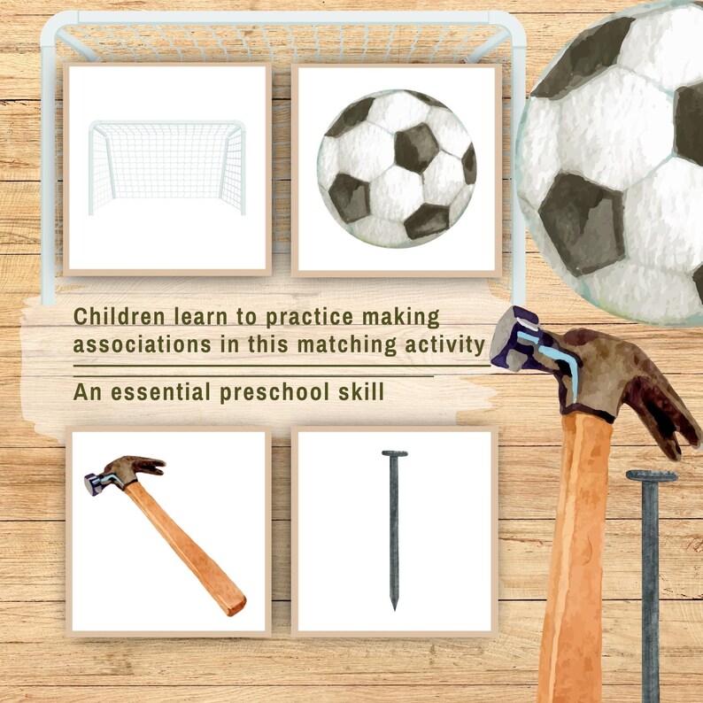 Preschool Matching Sorting Activity Printable Flashcards What Goes ...