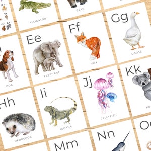Alphabet Posters Large Format for Classroom Use, Watercolor Animal ...