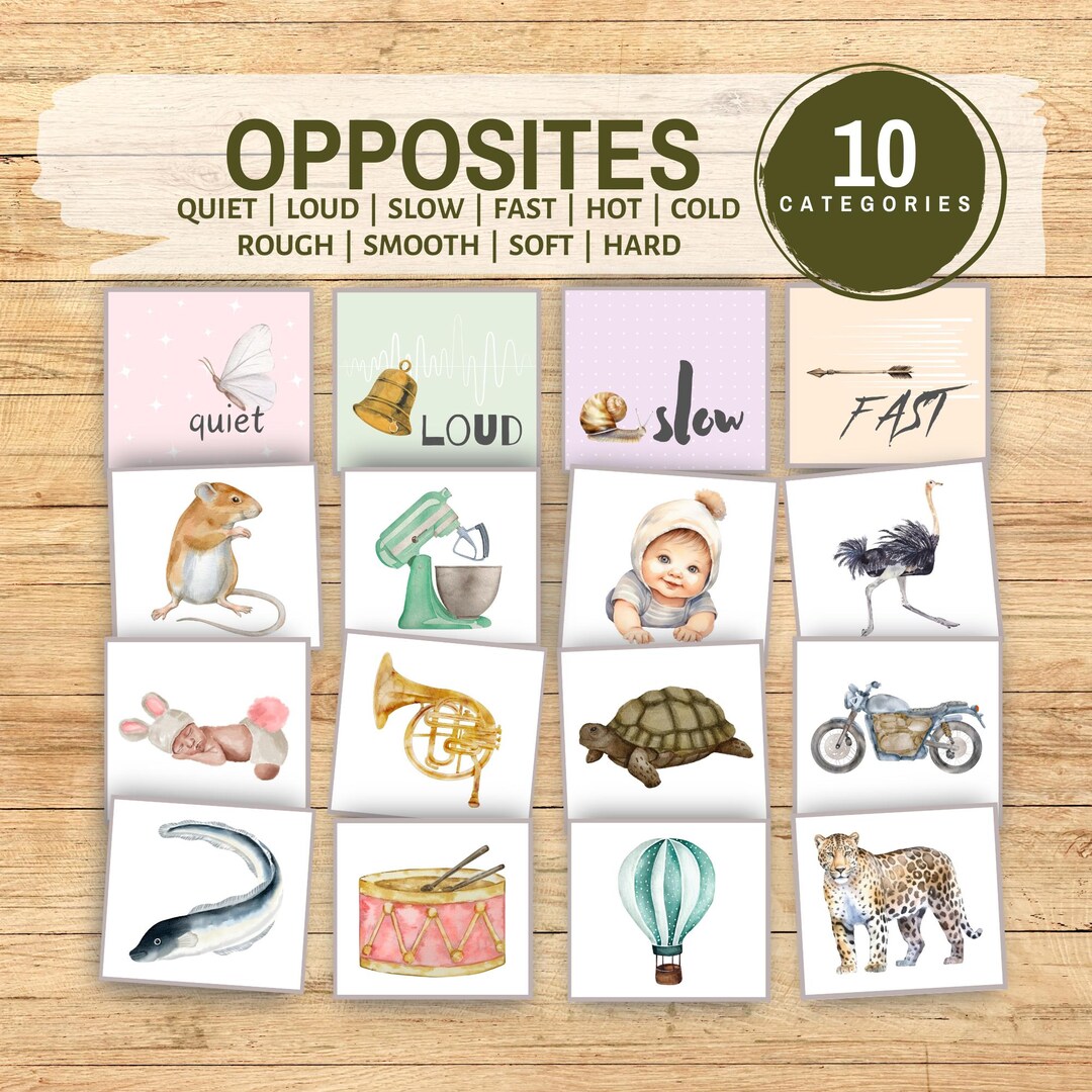 Opposites Sorting Printable Flashcards, Child Development Game ...