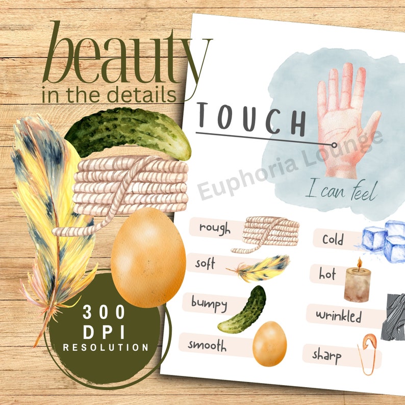 Five Senses Posters Educational Wall Art Printable Hear/touch/sight ...