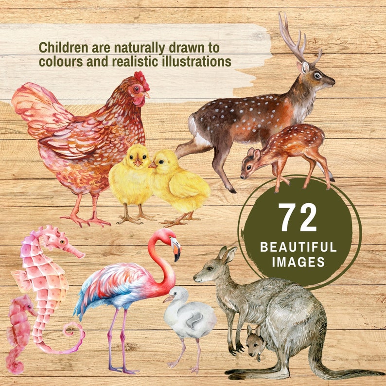 Mommy & Baby Animal Matching Activity Printable Animal Vocabulary ...