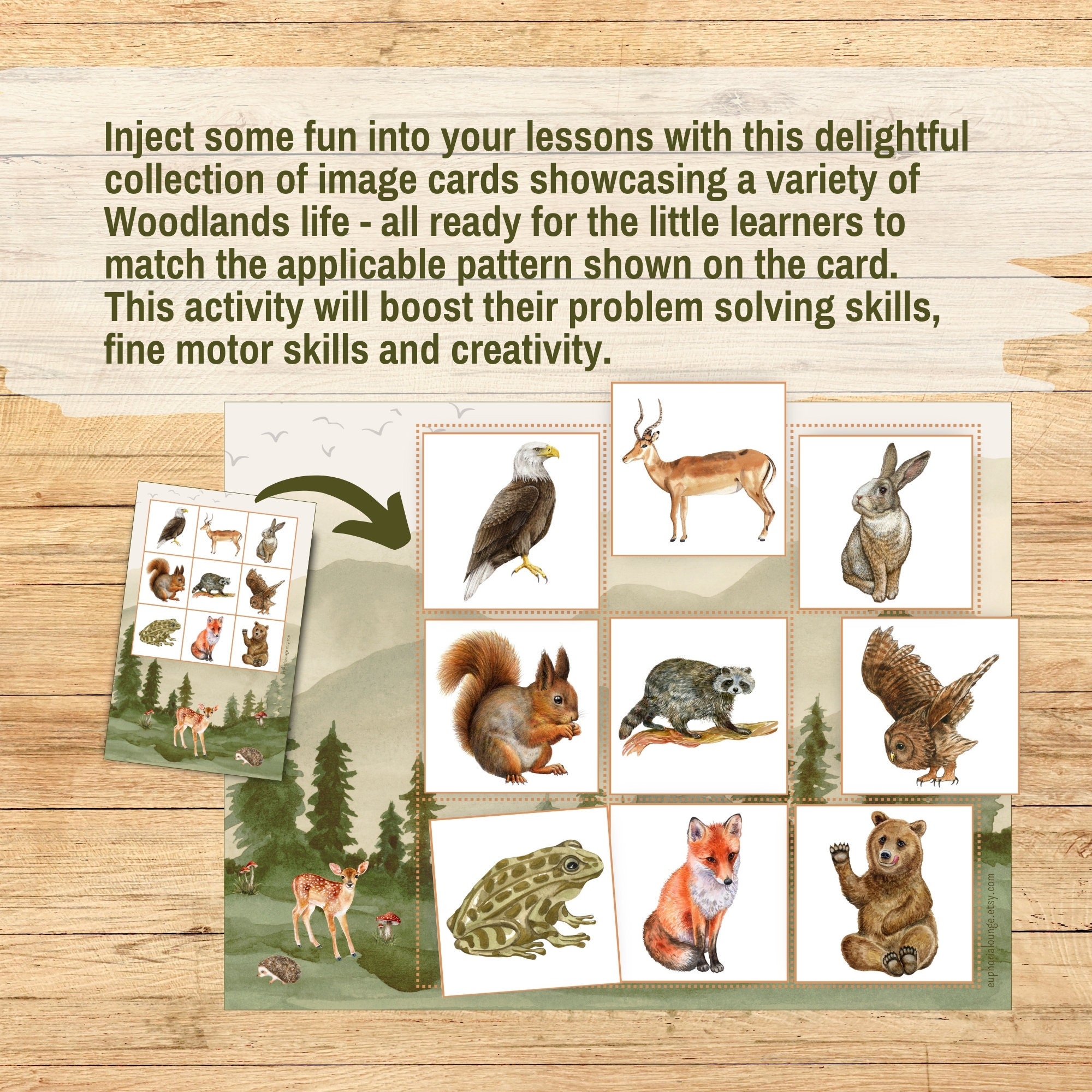 Woodlands Pattern Activity Sorting Picture Card Montessori Resource ...